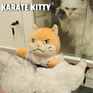 Karate Kitty™