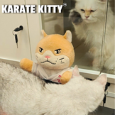 Karate Kitty™