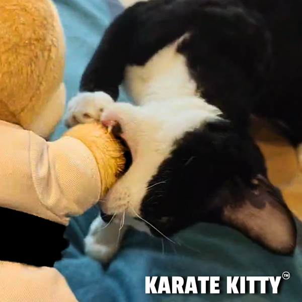 Karate Kitty™
