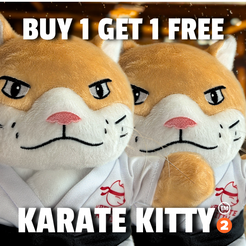 Karate Kitty™